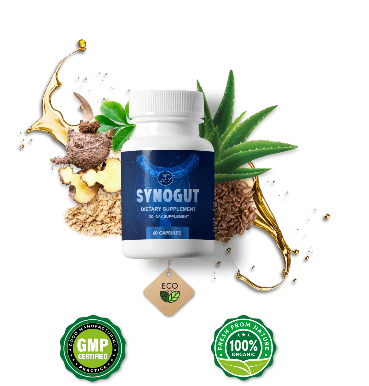 SynoGut™ Official Site